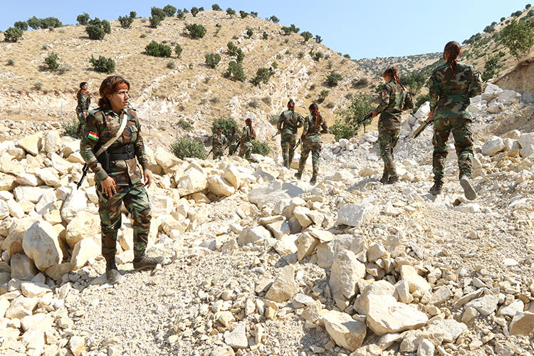 Kurdish military forces detain journalist in Iraqi Kurdistan ...