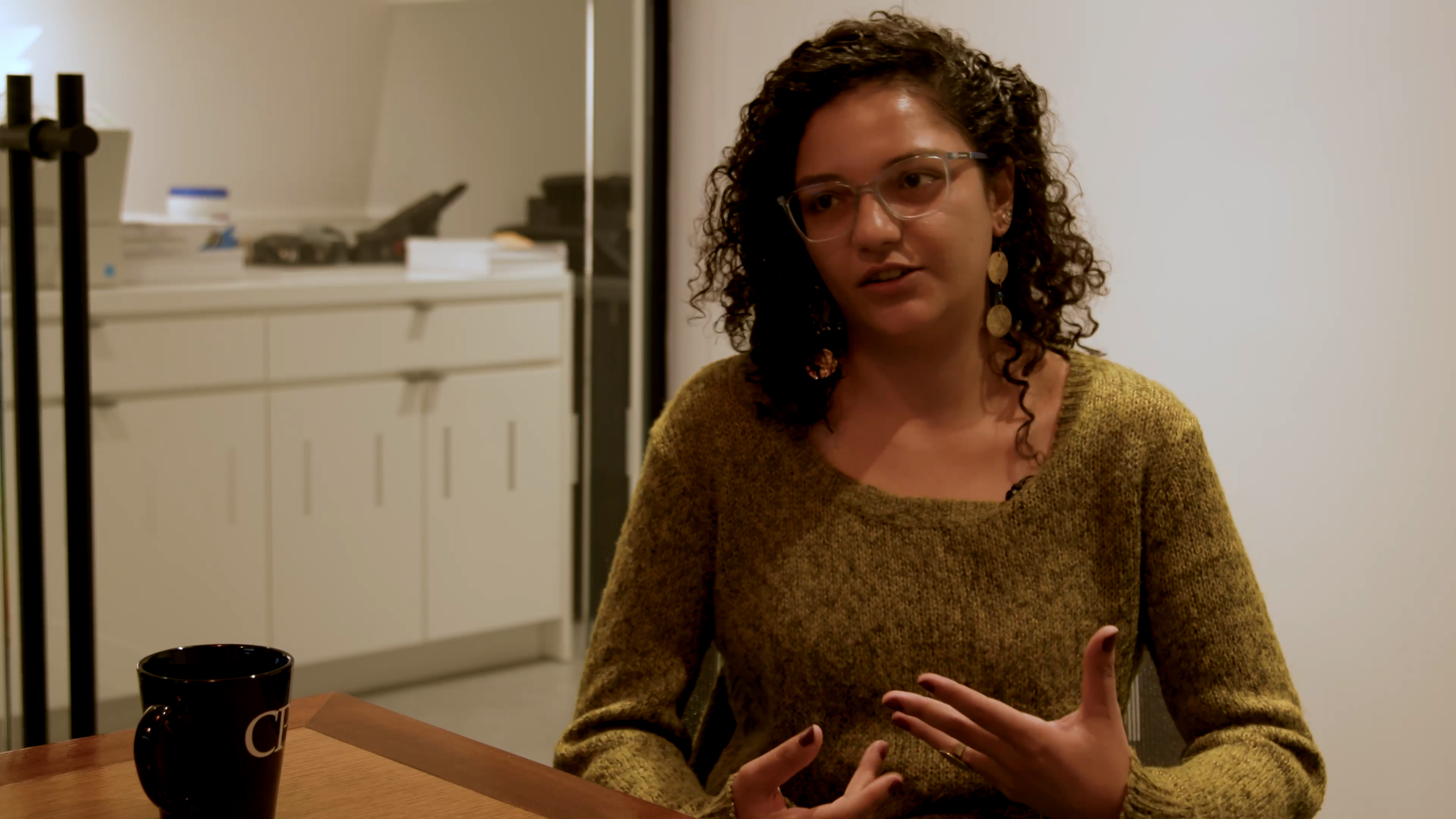 Imprisoned Egyptian journalist Alaa Abdelfattah’s sister Sanaa Seif: ‘Since the book is out, his ...