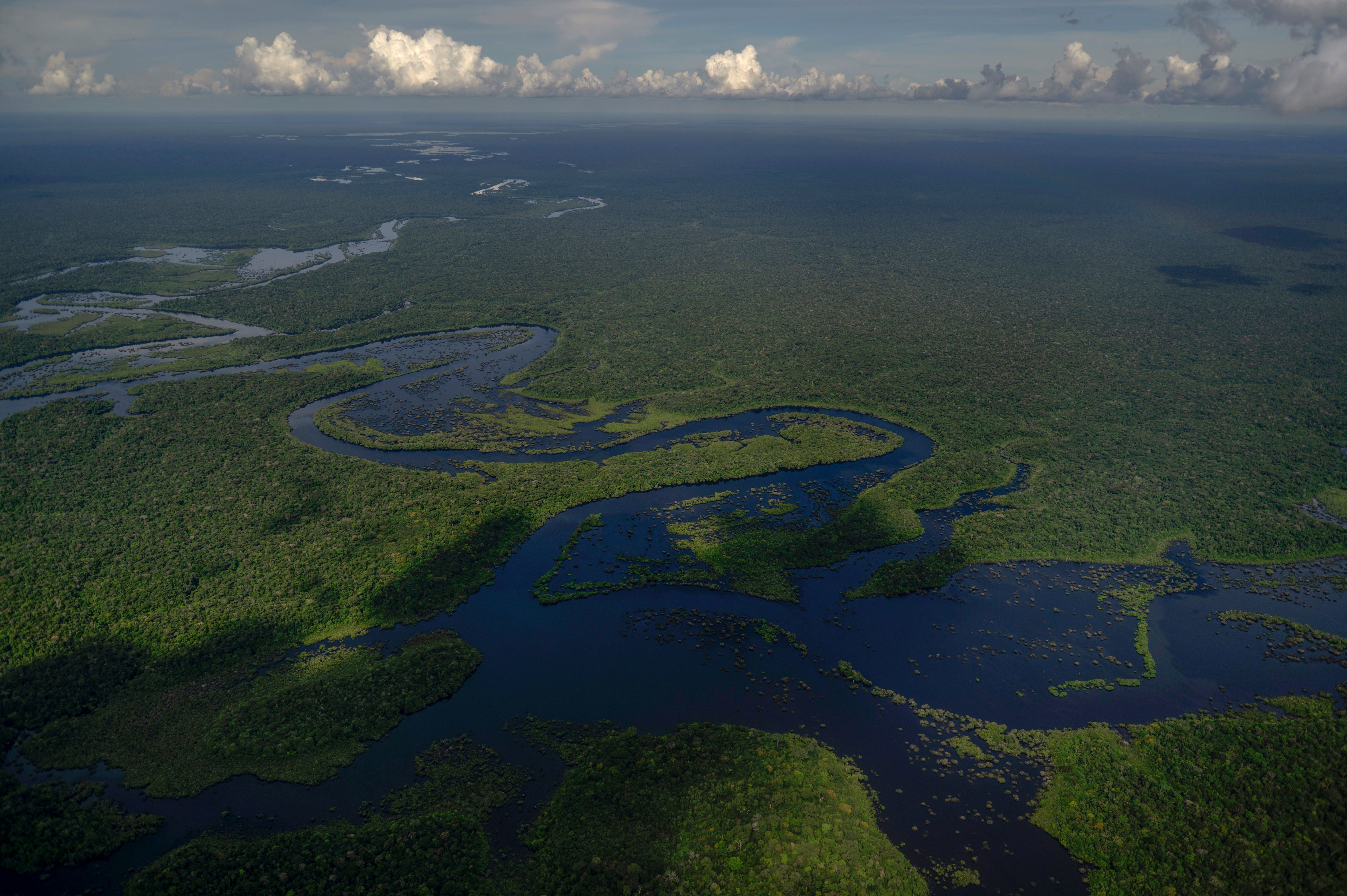 Key safety steps for covering the Amazon - Committee to Protect Journalists